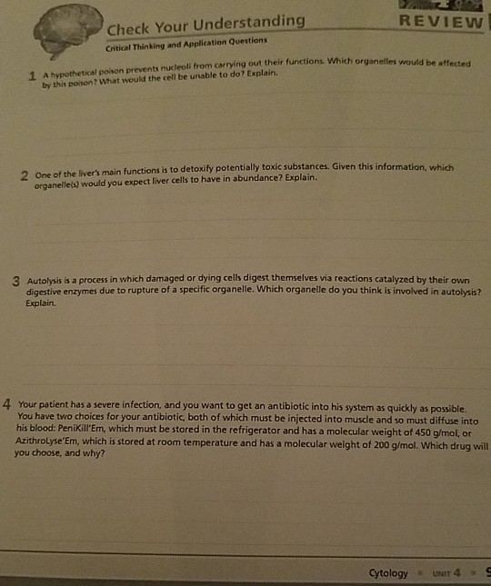Solved Check Your Understanding Critical Thinking and | Chegg.com