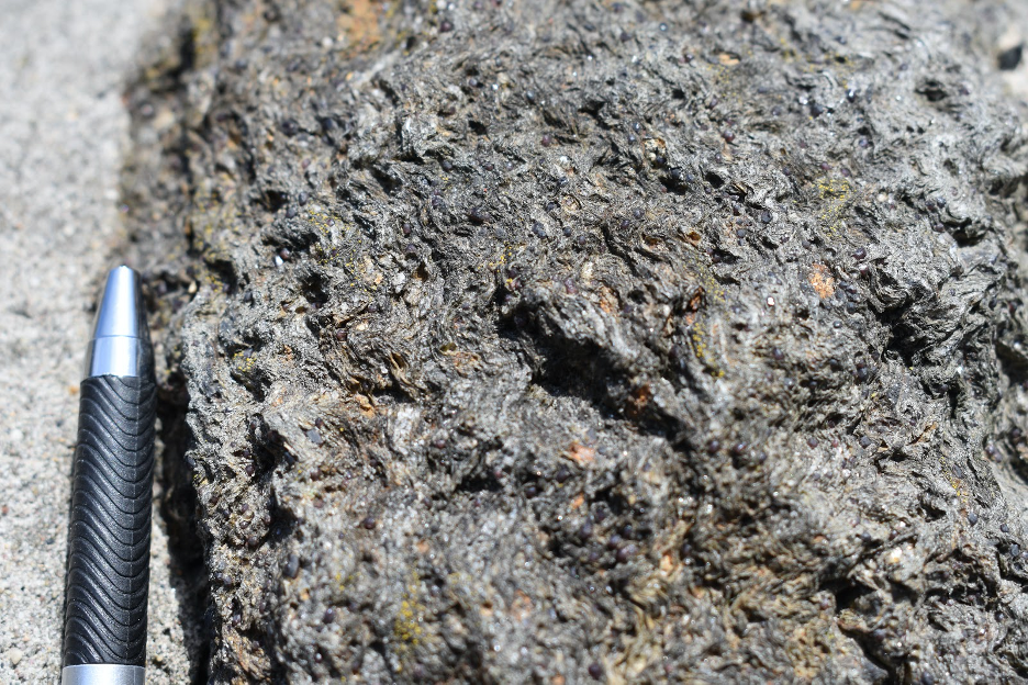 You should be able to make out the shiny mica grains | Chegg.com