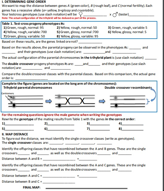 Solved L DETERMINING GENE ORDER We want to map the distance | Chegg.com