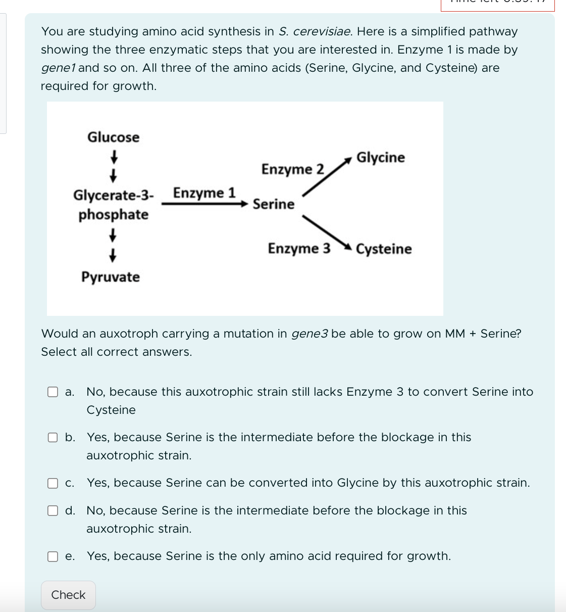 Solved You are studying amino acid synthesis in S. | Chegg.com