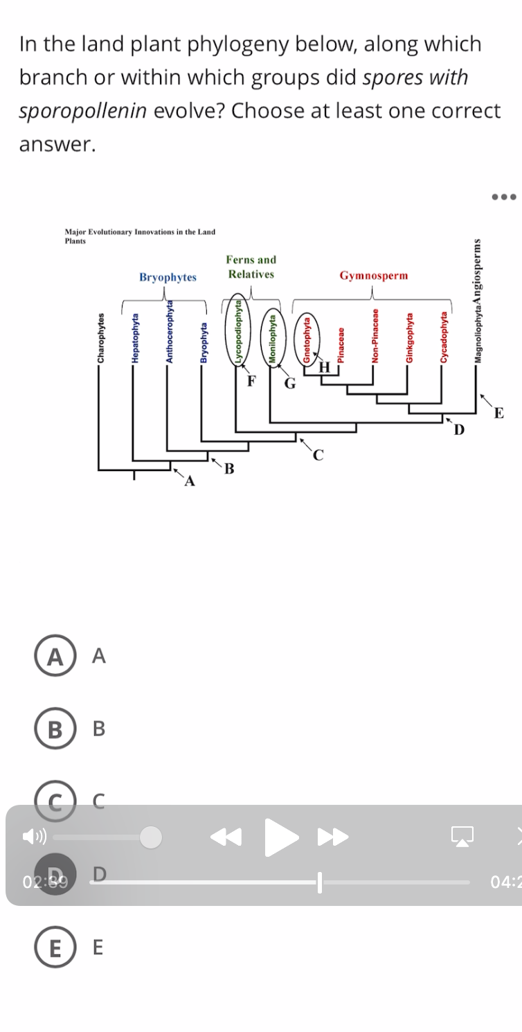 Solved In the land plant phylogeny below, along which branch | Chegg.com