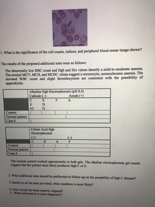 Solved Hematology Case Studies Module 8 There are 2 Case | Chegg.com