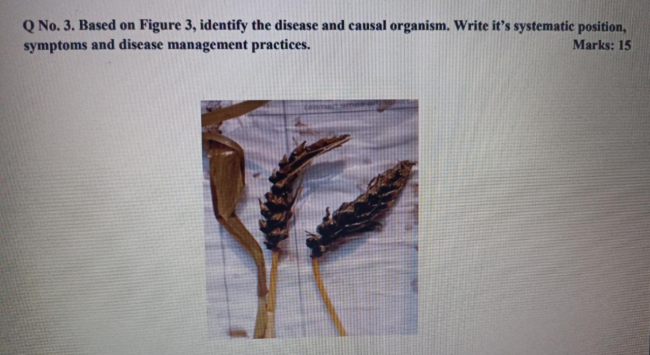 Solved Q No. 3. Based on Figure 3, identify the disease and | Chegg.com Solved Q No. 3. Based on Figure 3, identify the disease and | Chegg.com