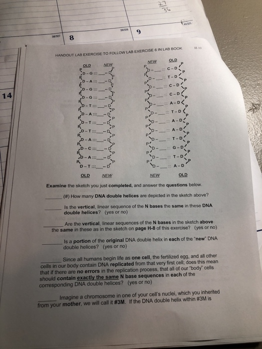 Solved 18-6 HANDOUT LAB EXERCISE TO FOLLOW LAB EXERCISE 6 IN | Chegg.com Solved 18-6 HANDOUT LAB EXERCISE TO FOLLOW LAB EXERCISE 6 IN | Chegg.com