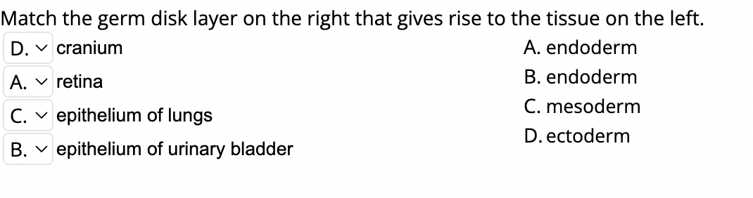 Solved Match the germ disk layer on the right that gives | Chegg.com