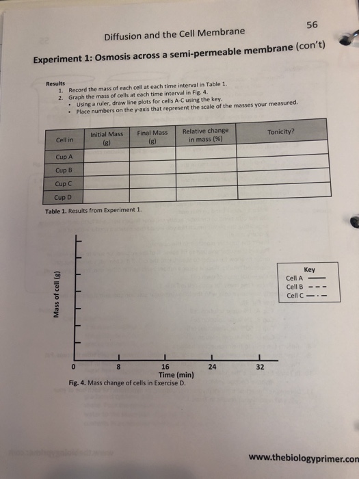 Diffusion and the Cell Membrane Experiment 1: Osmosis | Chegg.com