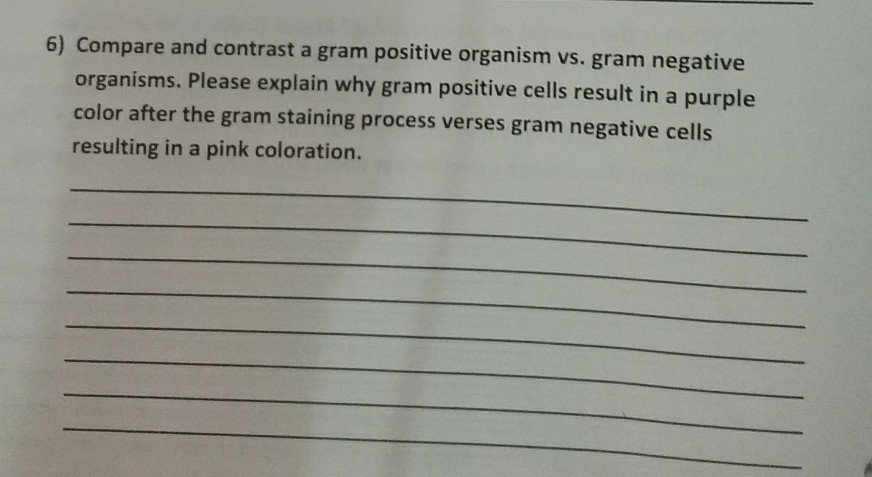 Calculations: Main Equation: x 1000 micrometers | Chegg.com