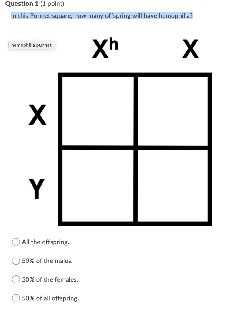 Hemophilia Punnett Square 3451