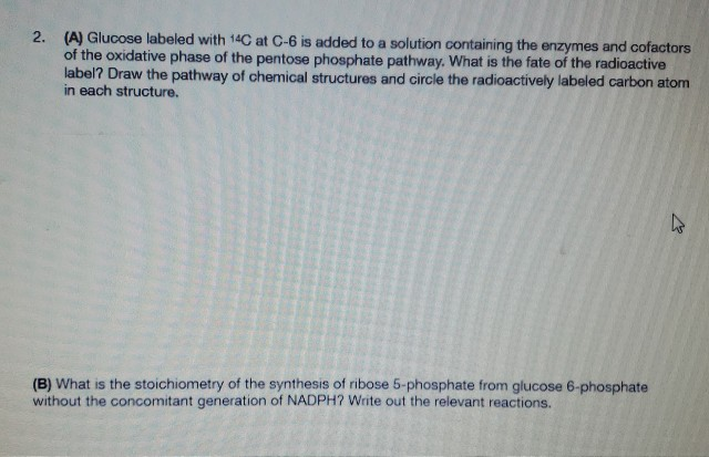 Solved (A) Glucose labeled with 14C at C-6 is added to a | Chegg.com