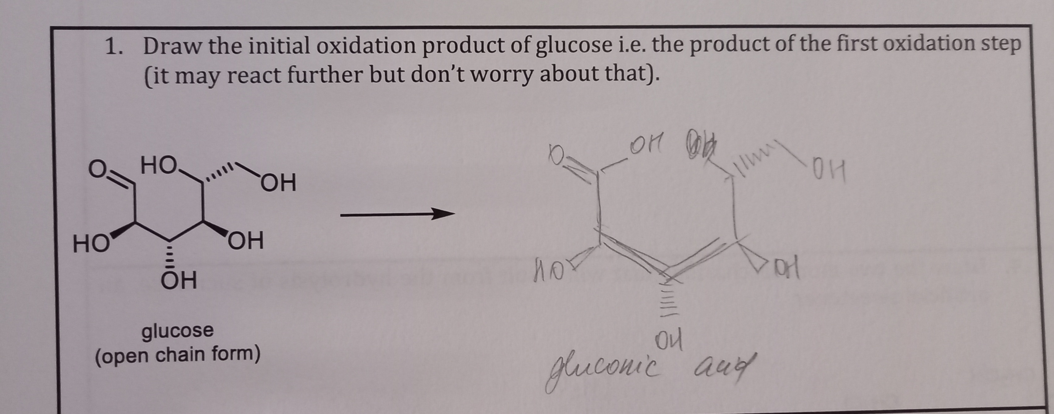 Solved 1. Draw the initial oxidation product of glucose i.e. | Chegg.com