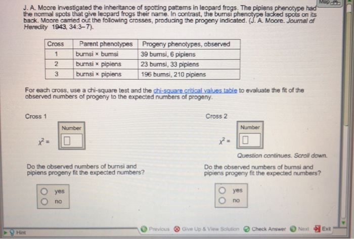Solved J. A. Moore investigated the inheritance of spotting | Chegg.com