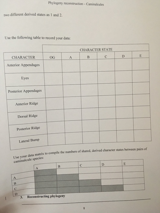 Phylogeny reconstruction-Caminalcules animals | Chegg.com