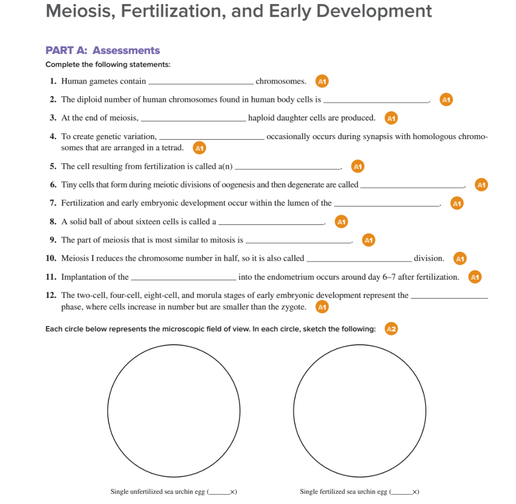 Solved Meiosis, Fertilization, and Early Development PART A: | Chegg.com