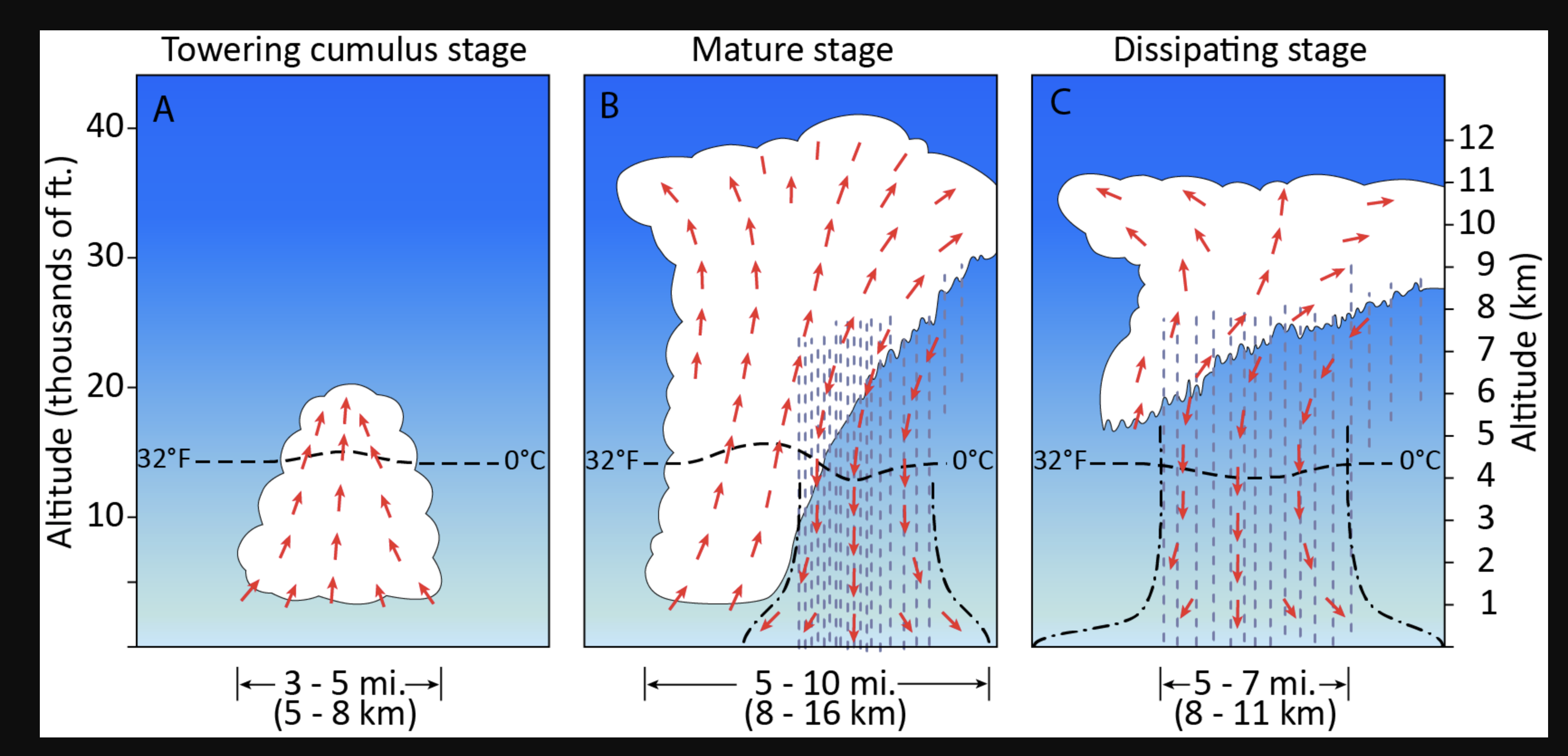 Solved In the towering cumulus stage (Figure 11A-1A), | Chegg.com