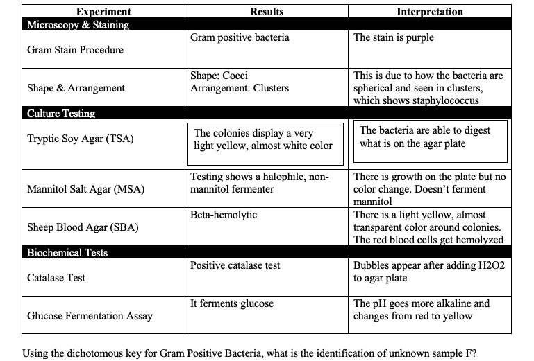 Solved Results Interpretation Experiment Microscopy & | Chegg.com
