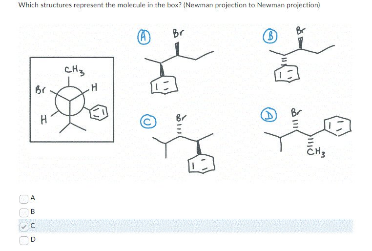Solved Which structures represent the molecule in the box? | Chegg.com