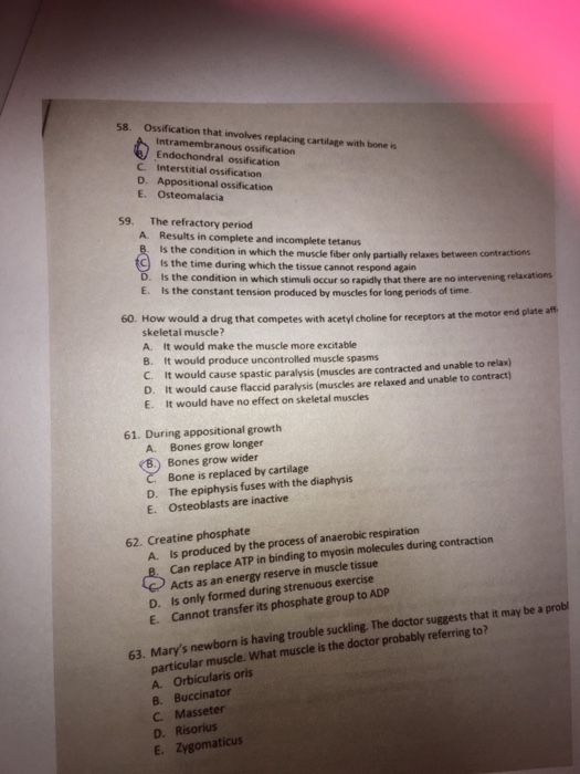 Solved 58. Ossification that involves replacing cartilage | Chegg.com