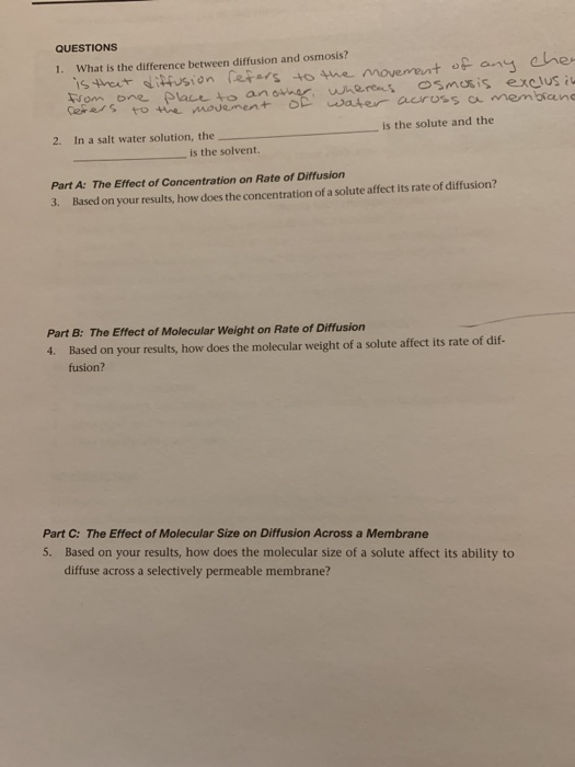 Solved QUESTIONS 1. What is the difference between diffusion | Chegg.com