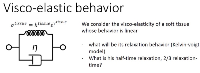 Solved Visco-elastic behavior ktissul e ε γ tissue we | Chegg.com