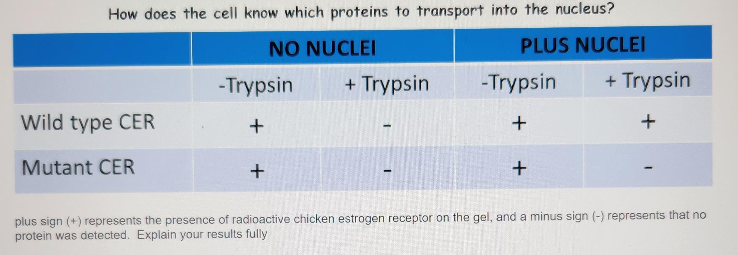 Solved plus sign (+) represents the presence of radioactive | Chegg.com
