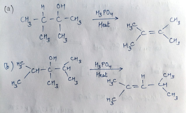 Solved Data: Theoretical yield (in grams) of Cyclohexene | Chegg.com