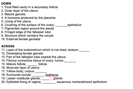 Solved FEMALE REPRODUCTIVE SYSTEM ASSIGNMENT 11 12 13 14 15 | Chegg.com