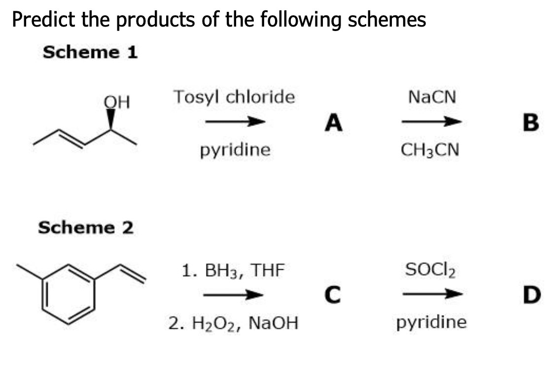 Solved Predict the products of the following schemes | Chegg.com