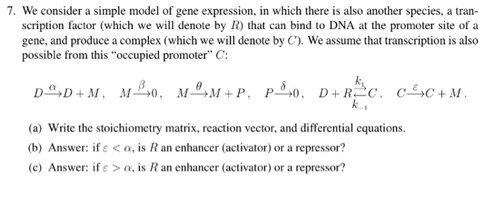 7. We consider a simple model of gene expression, in | Chegg.com