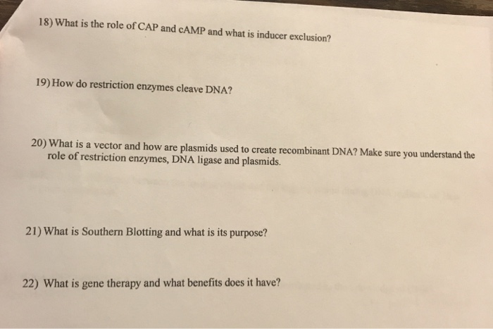 Solved 18) What is the role of CAP and cAMP and what is | Chegg.com