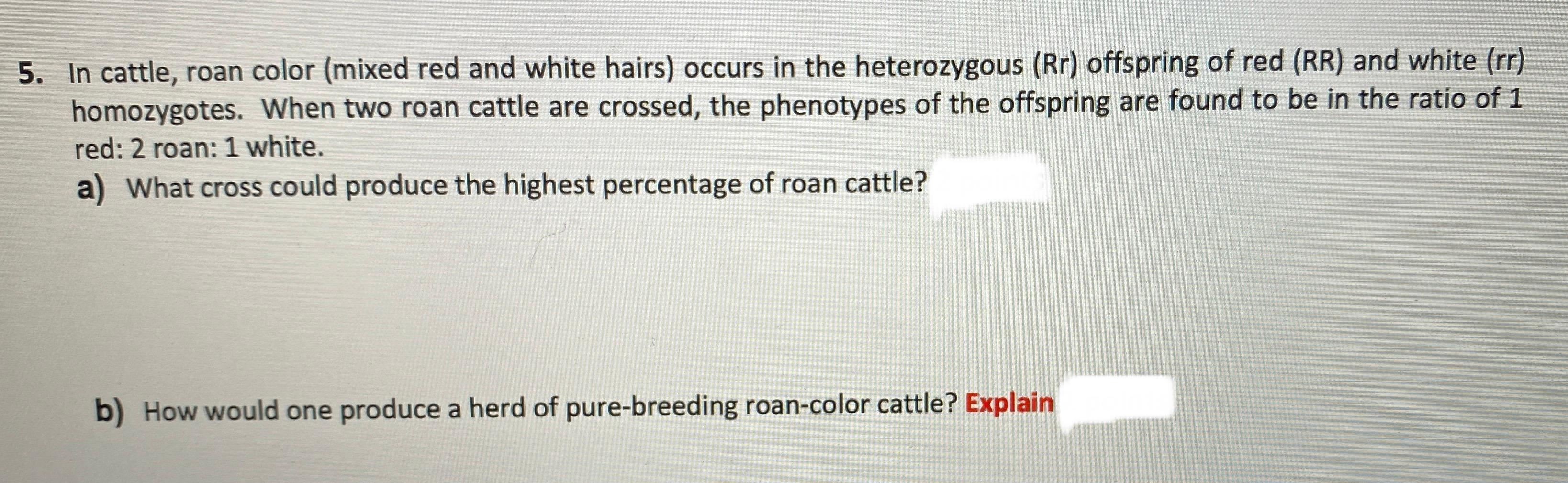Solved 5. In cattle, roan color (mixed red and white hairs) | Chegg.com