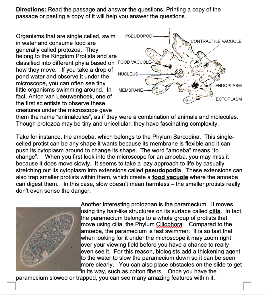 Solved Directions: Read the passage and answer the | Chegg.com