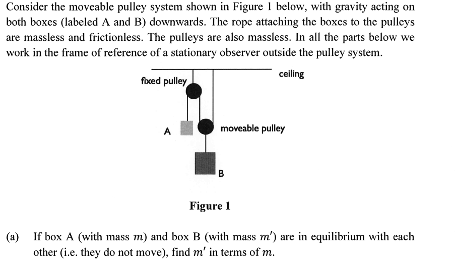 Solved Consider the moveable pulley system shown in Figure 1 | Chegg.com