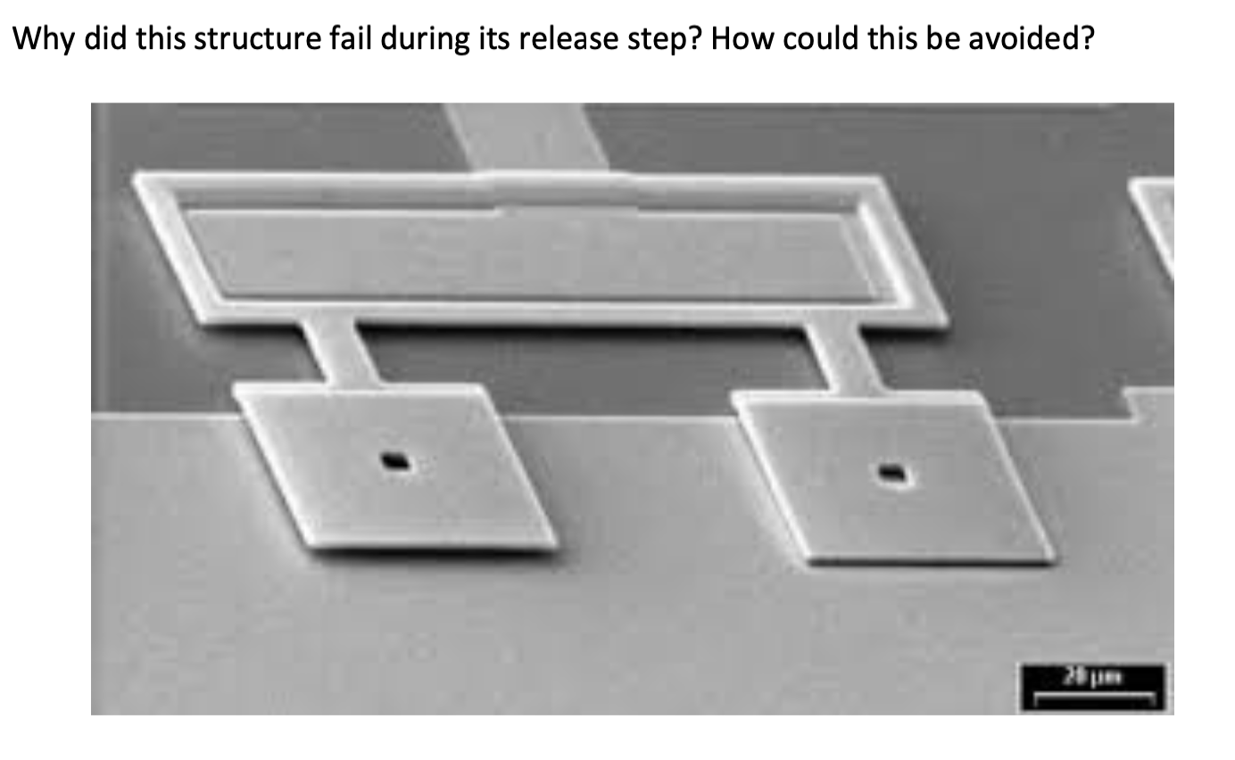 Solved Why did this structure fail during its release step? | Chegg.com