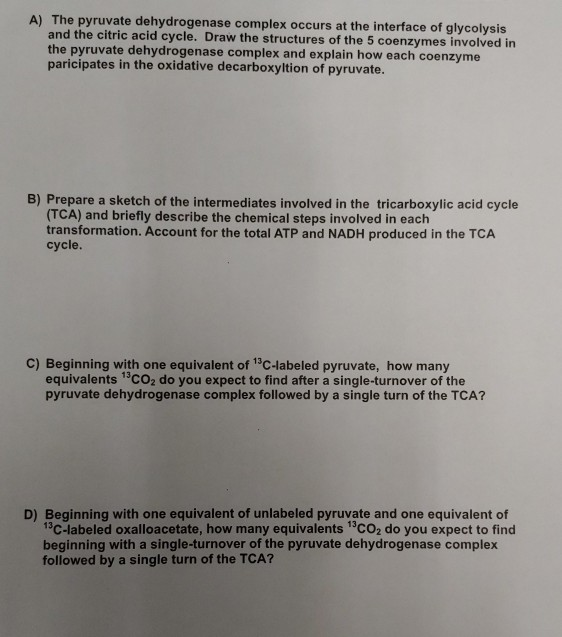 Solved The pyruvate dehydrogenase complex occurs at the | Chegg.com