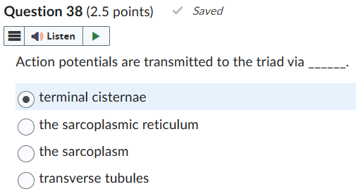 Solved Question 38 (2.5 ﻿points)Action potentials are | Chegg.com