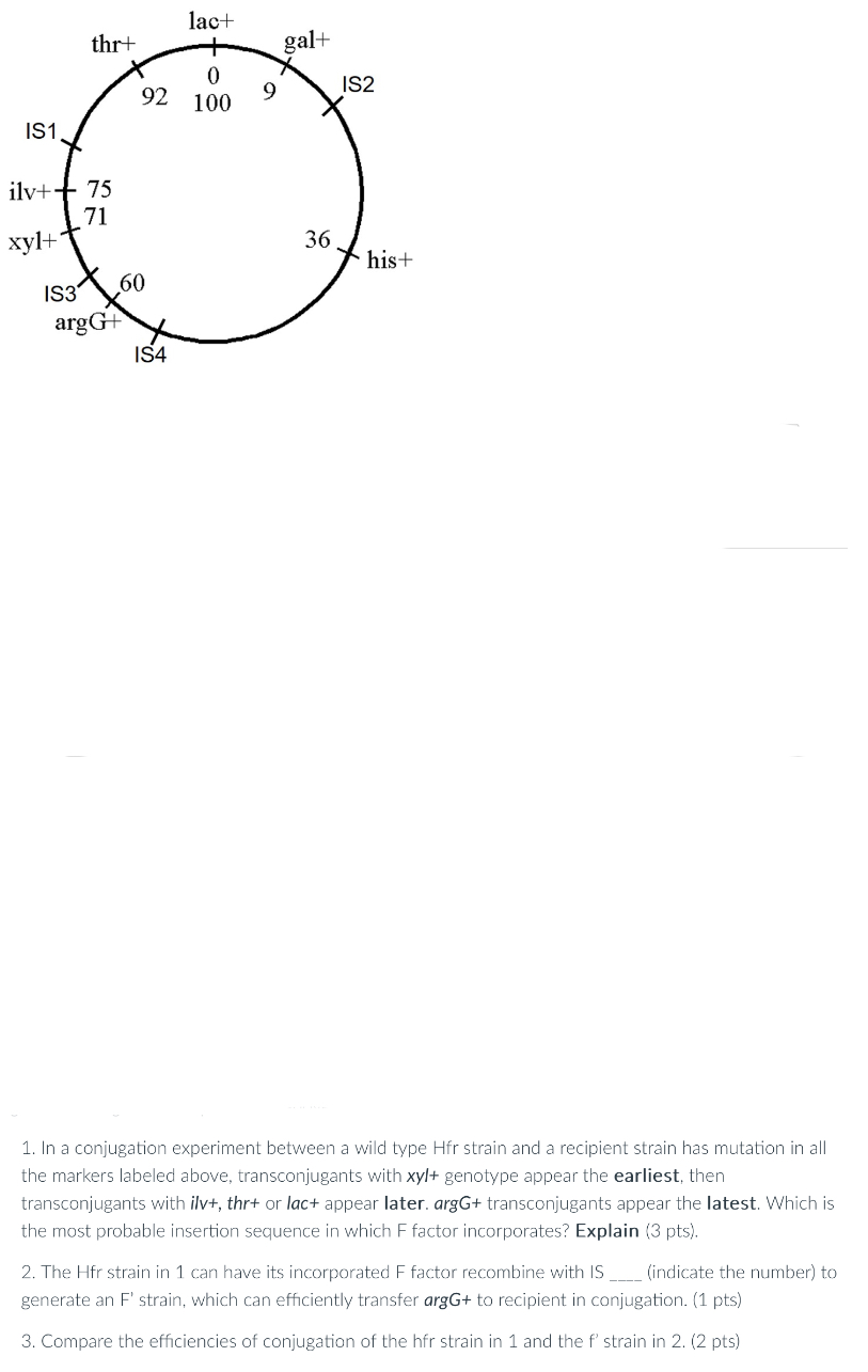 Solved In a conjugation experiment between a wild type Hfr | Chegg.com