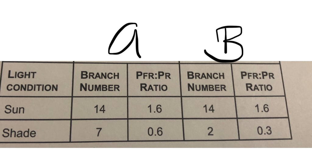 Solved Plants: The Pr:PFr ratio of phytochrome B in | Chegg.com