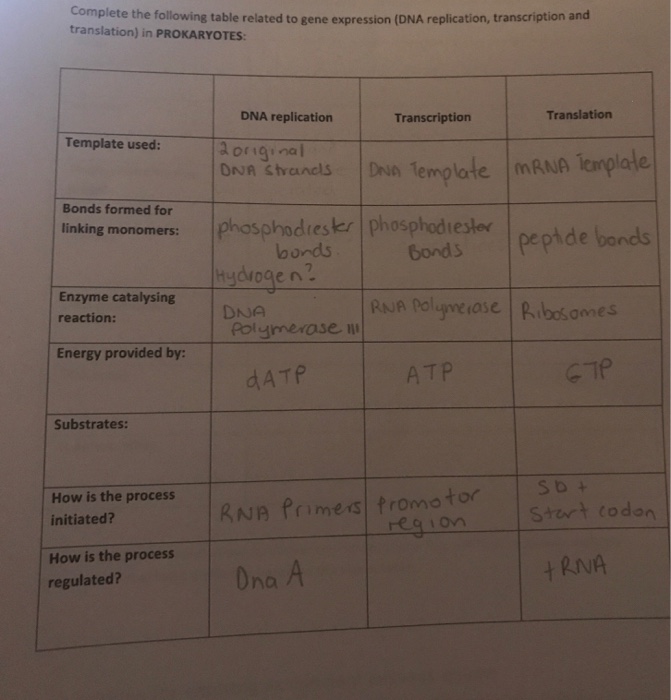 Transcription And Translation Chart