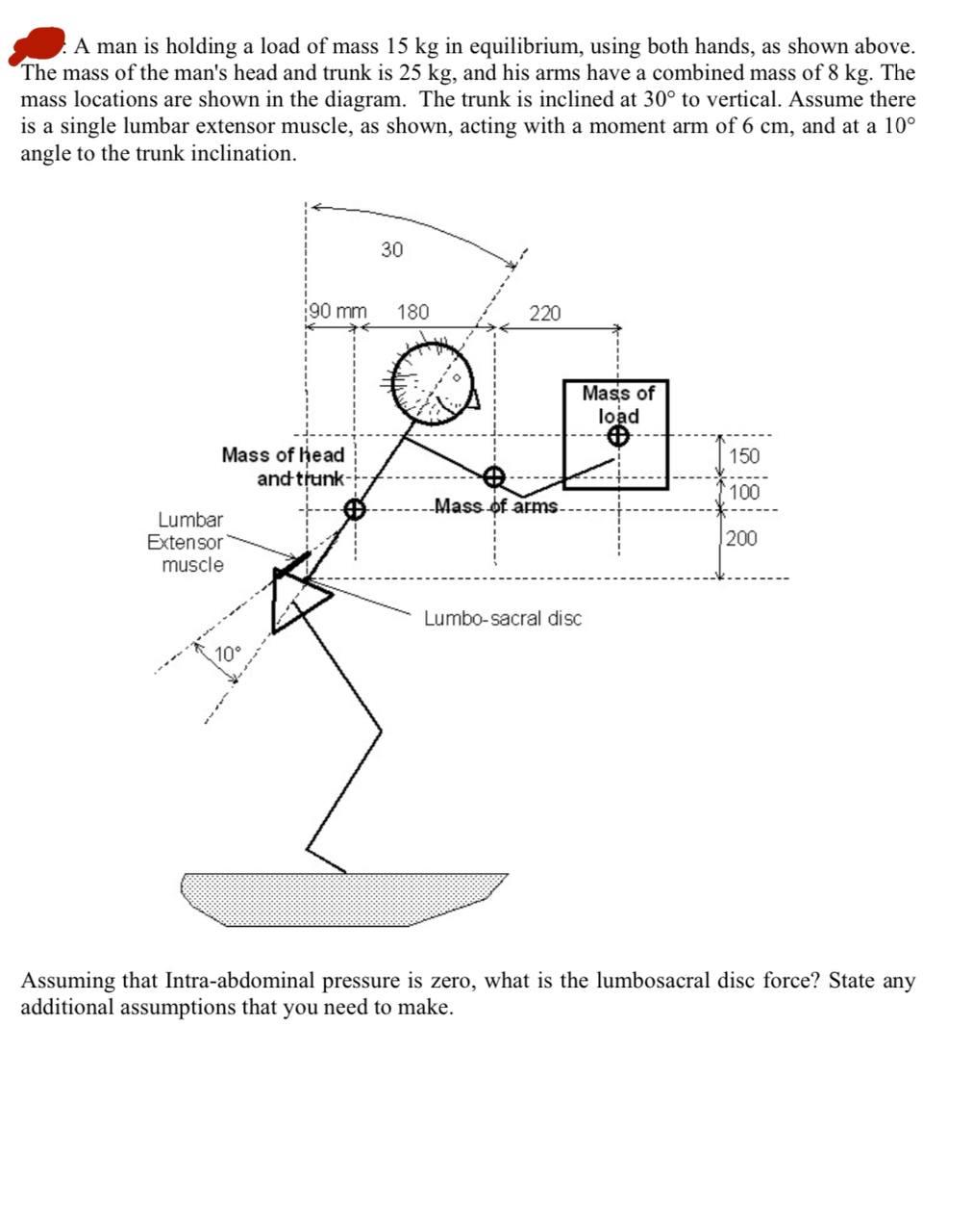 Solved A man is holding a load of mass 15 kg in equilibrium, | Chegg.com