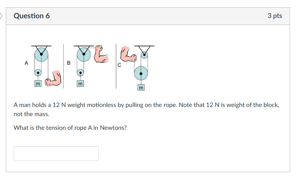 Solved A man holds a 12 N weight motionless by pulling on | Chegg.com