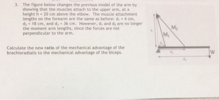 3. The figure below changes the previous model of the | Chegg.com