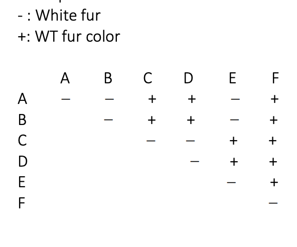 You have identified six true breeding strains (A | Chegg.com