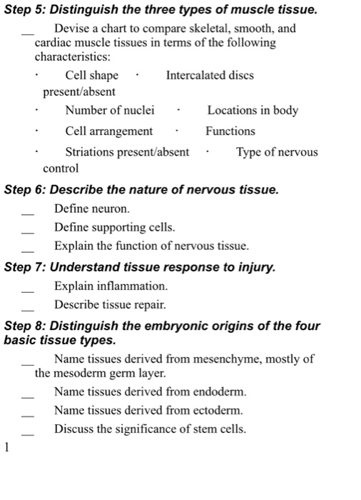 Muscle Tissue Types Diagram A Clinical Overview Of Muscle Types