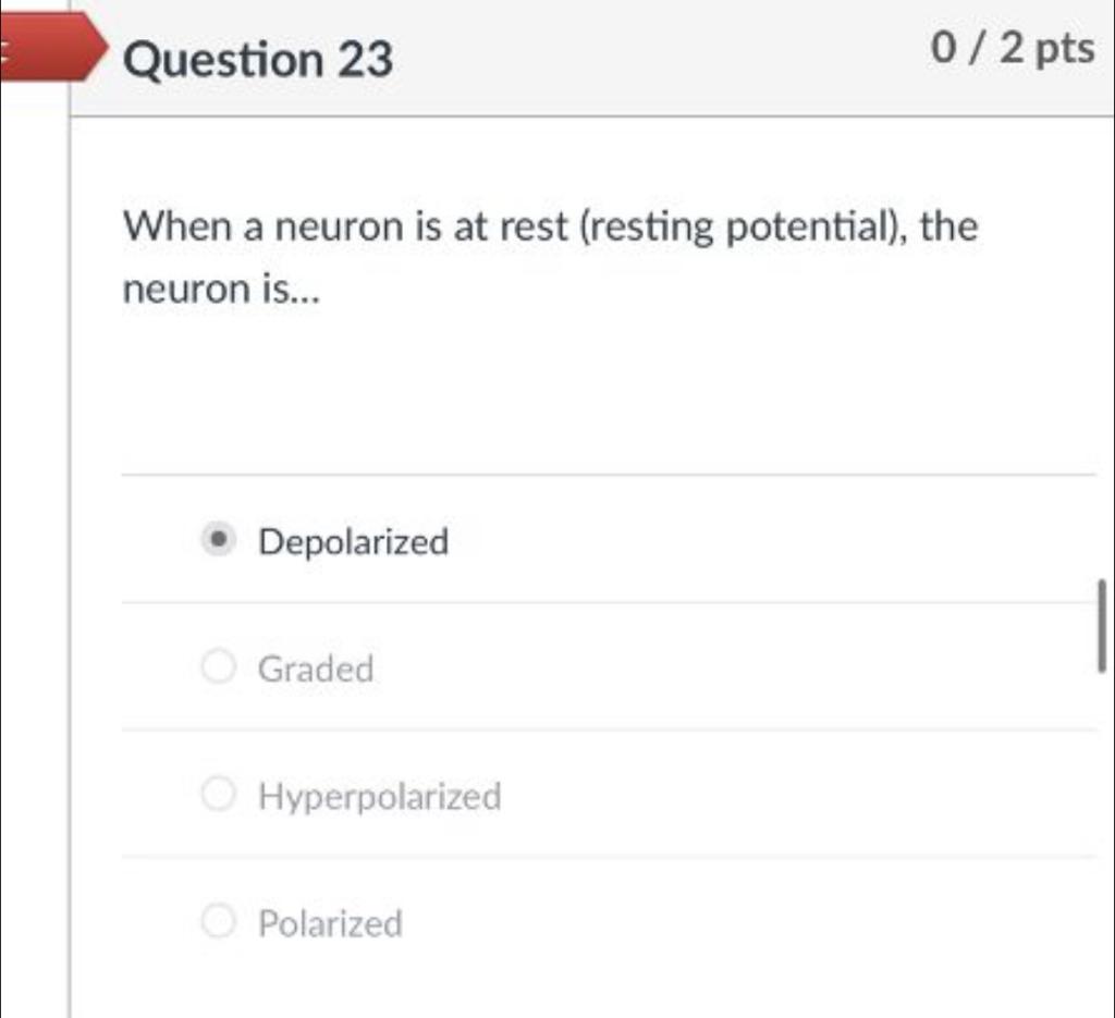 Solved Question 13 0/2 pts Sherrington's study of dogs' | Chegg.com