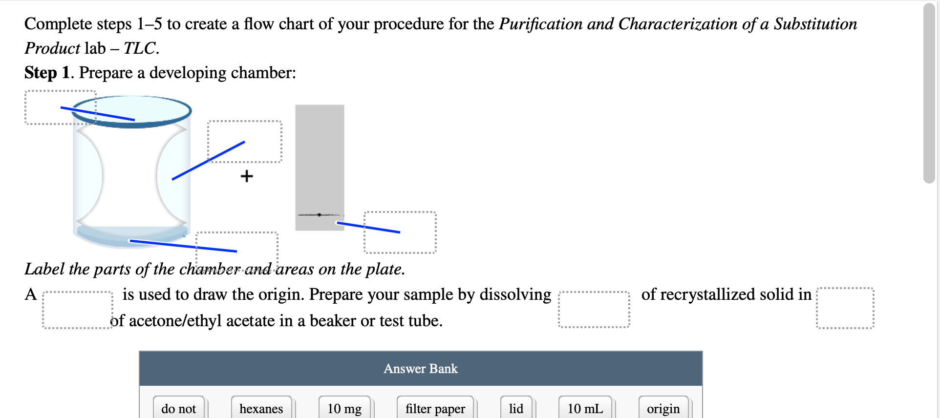 Solved Complete steps 1-5 to create a flow chart of your | Chegg.com