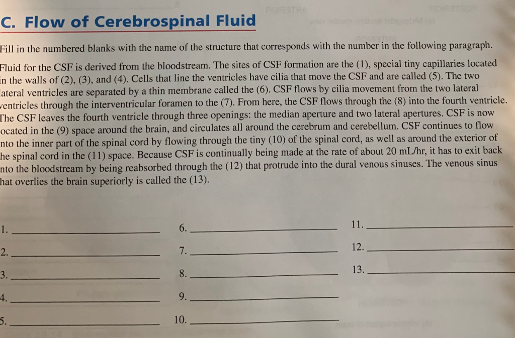 Solved C. Flow of Cerebrospinal Fluid Fill in the numbered | Chegg.com