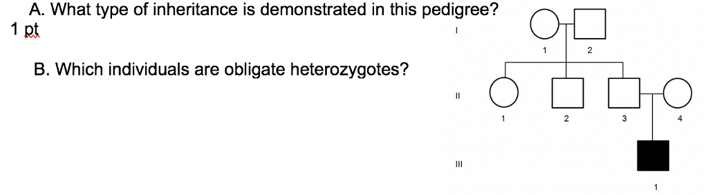 Solved A. What type of inheritance is demonstrated in this | Chegg.com