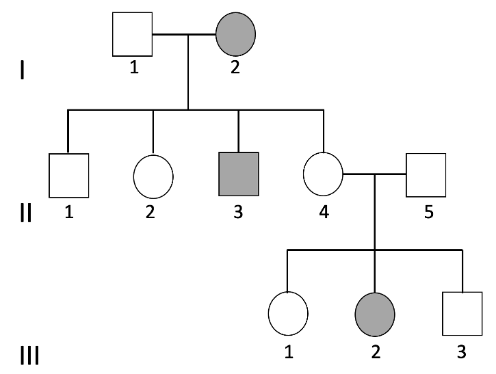 Solved Alleles and their associated traits can be tracked | Chegg.com