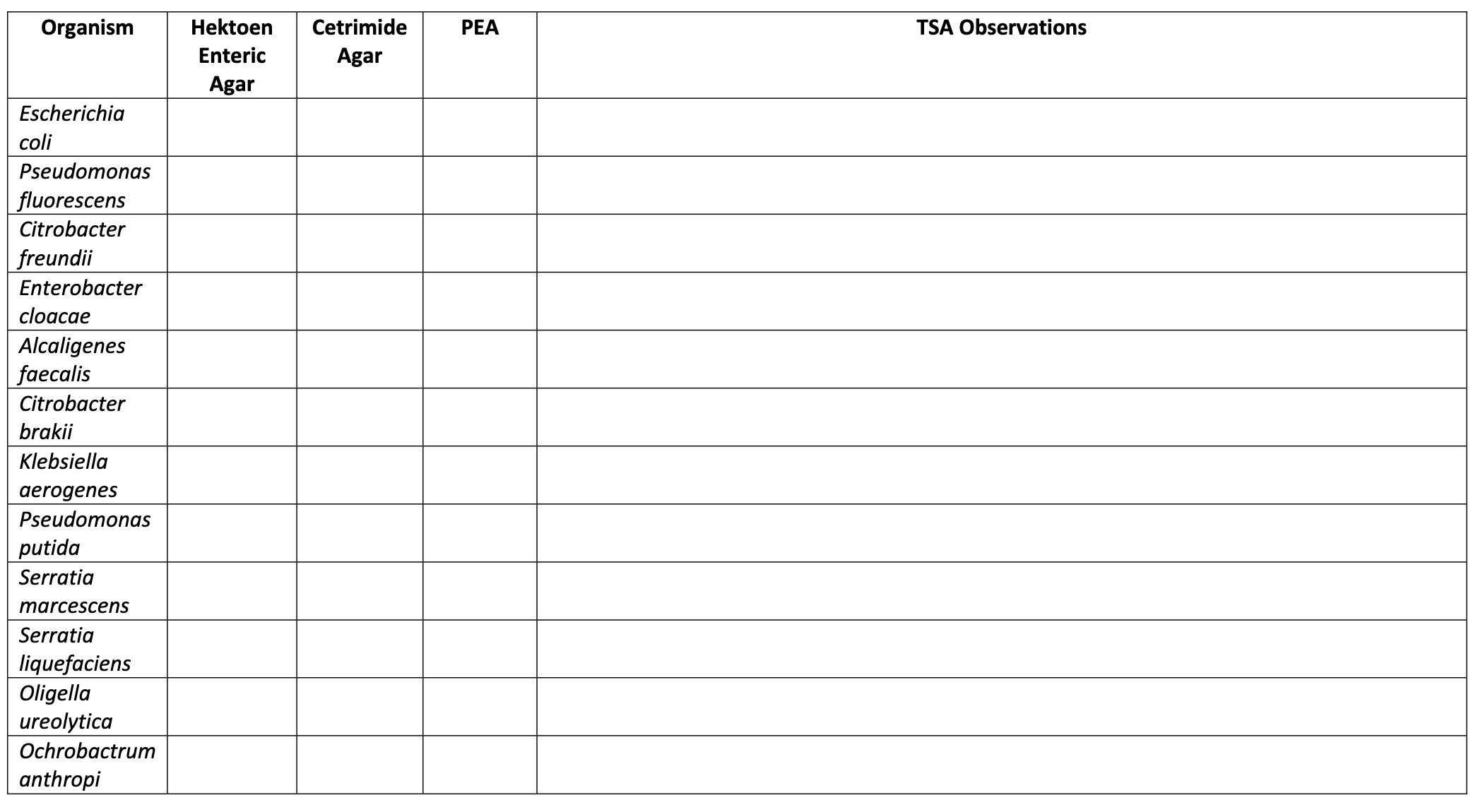 Solved \begin{tabular}{|l|l|l|l|l|}\hline | Chegg.com