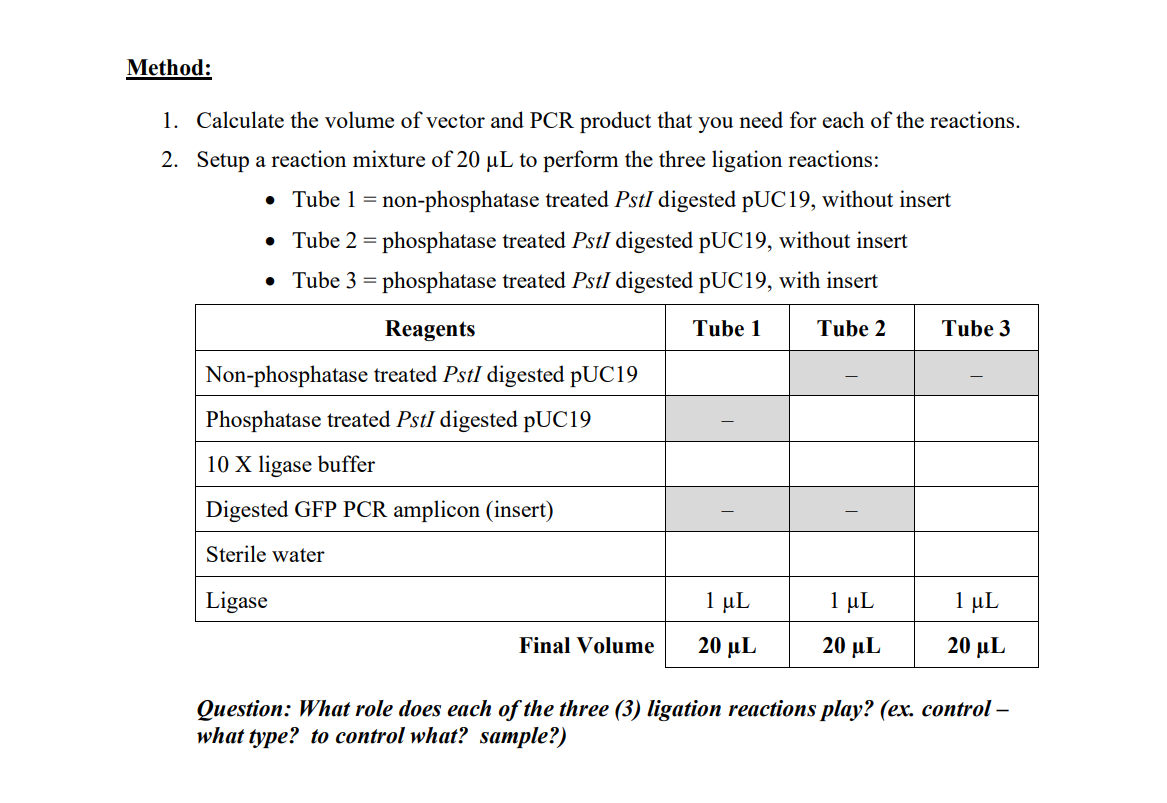 Solved [ethod: 1. Calculate the volume of vector and PCR | Chegg.com